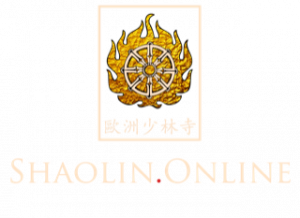 Gratis Live Sessions | Online Training Sessions mit Shi Heng Yi