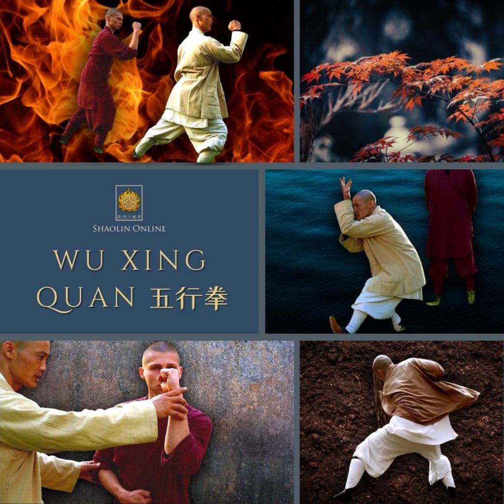 Wu Xing Quan (5 Element Fist) Kung Fu Form | Shaolin.Online
